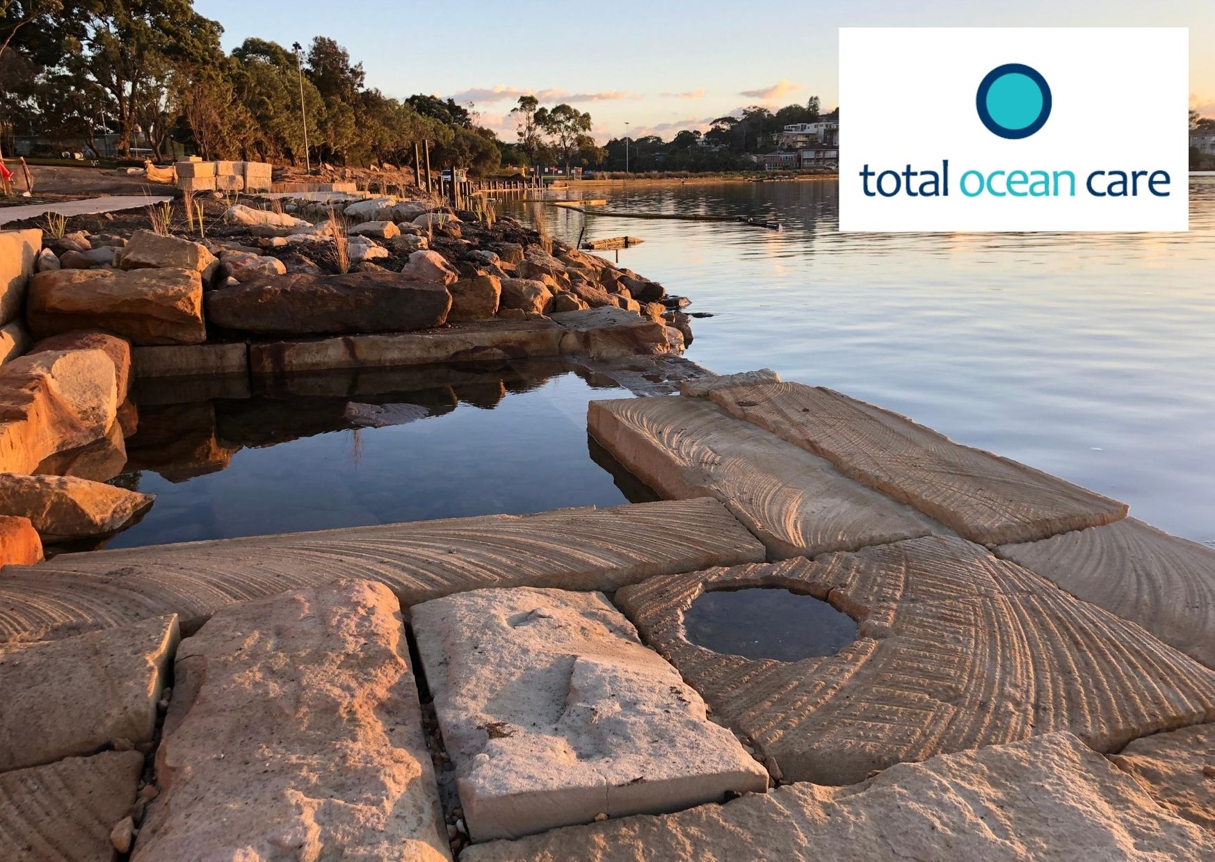 Services - Total Ocean Care